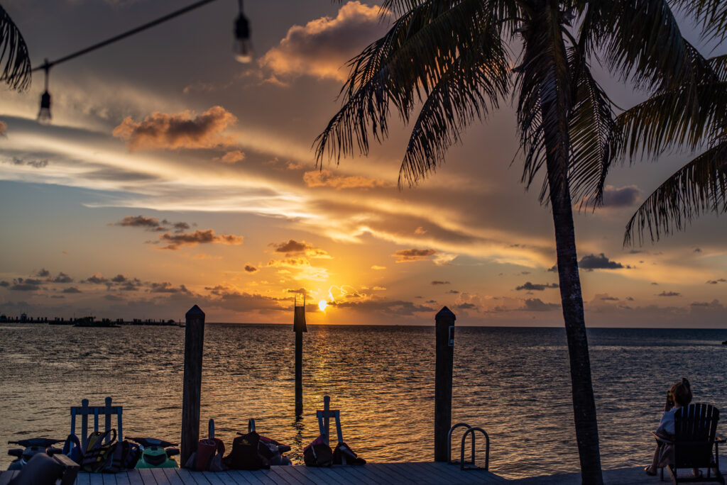 Homepage - Banana Bay