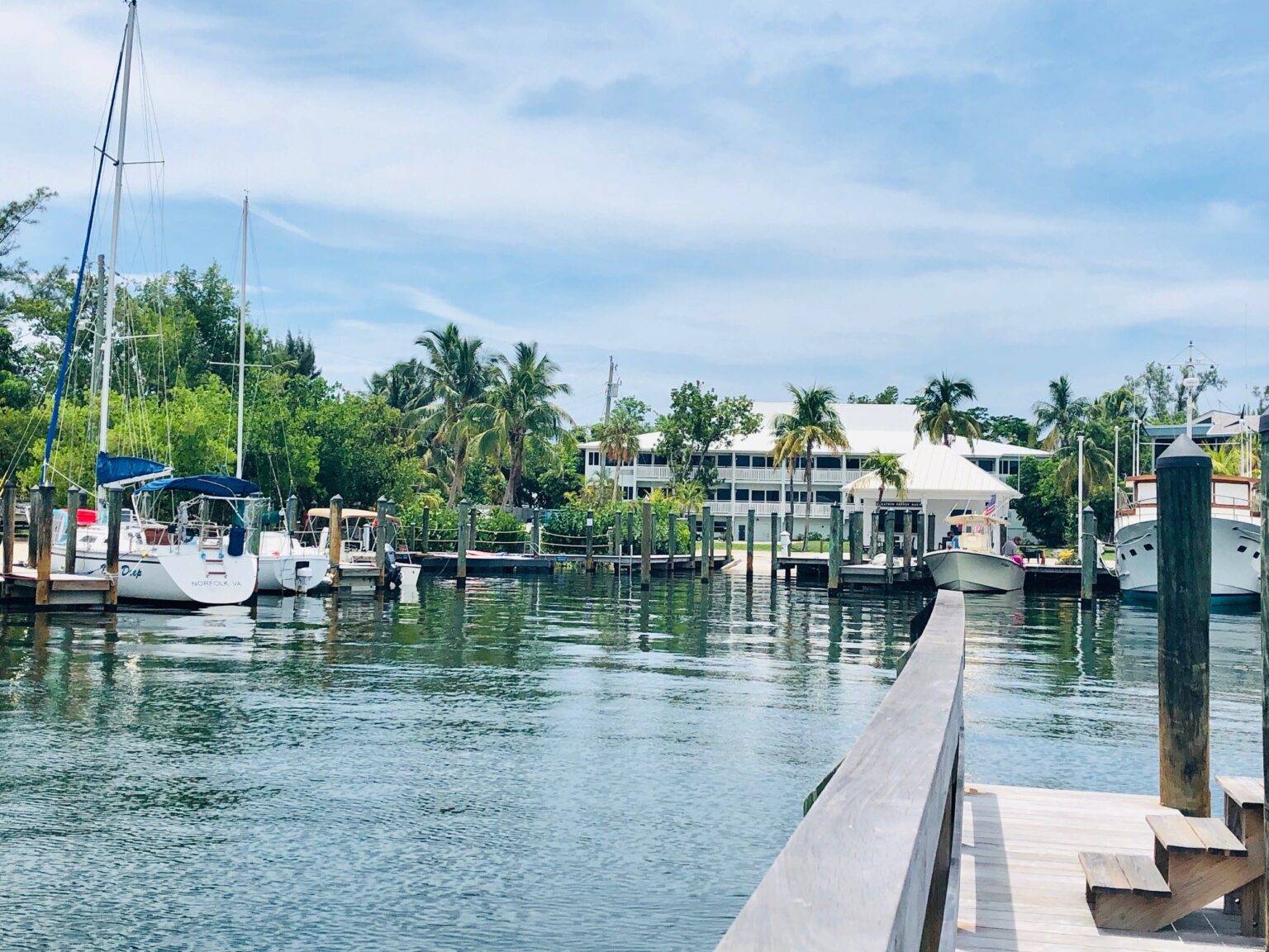 Homepage - Banana Bay